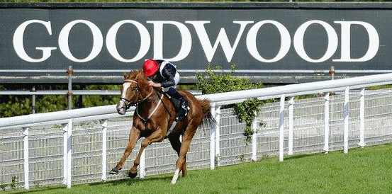 Horse Racing Odds | Races Racecards | Betting Tips 2020