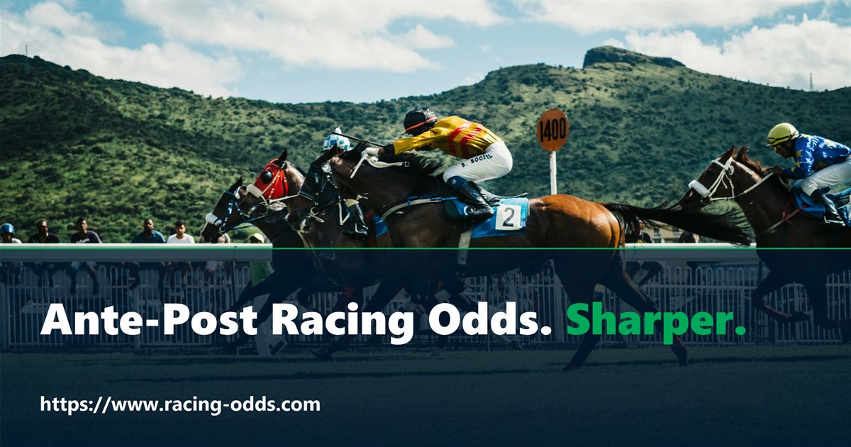 Premier Novice Hurdle Odds at Kelso